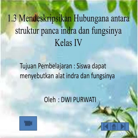 Modul Panca Indera | PDF