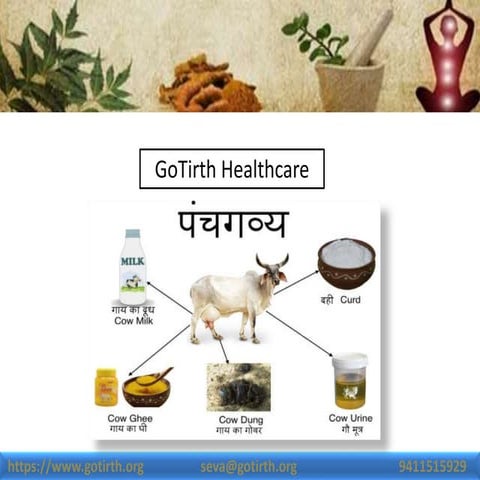 Panchagavya treatment for cancer | PPT