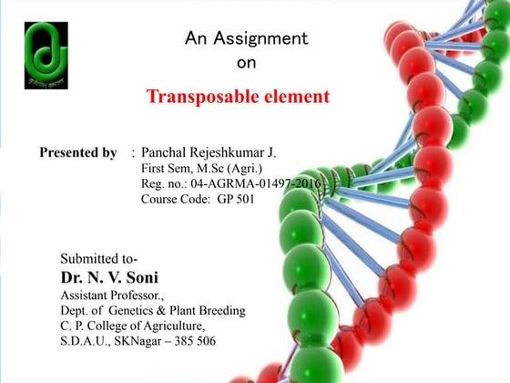 Transposable elements in prokaryotes.ppt | Programming Languages ...