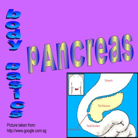 Pancreas | PPT