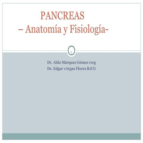 Anatomia de Pancreas | PPT