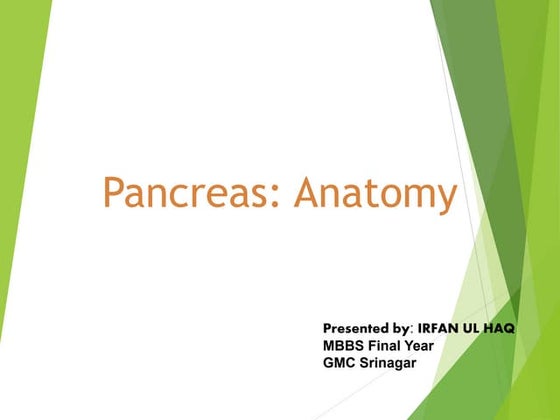 Anatomy of Pancreas | PPTX