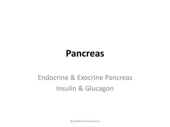 Pancreas anatomy and functions | PPT