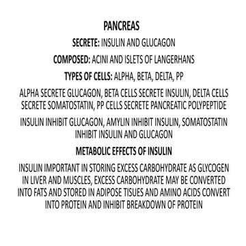 Pancreas (Endocrinology) | PPTX
