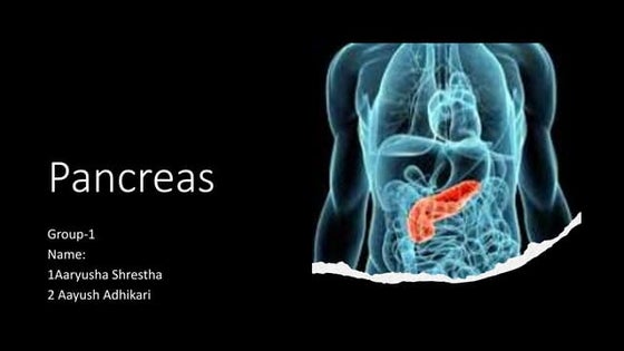 Histology & Function of The Pancreas | PPT