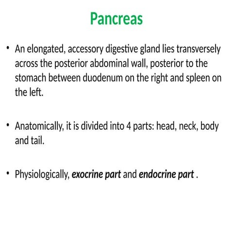 Pancreas and it's information 1 mbbs and other Sciences | PPTX