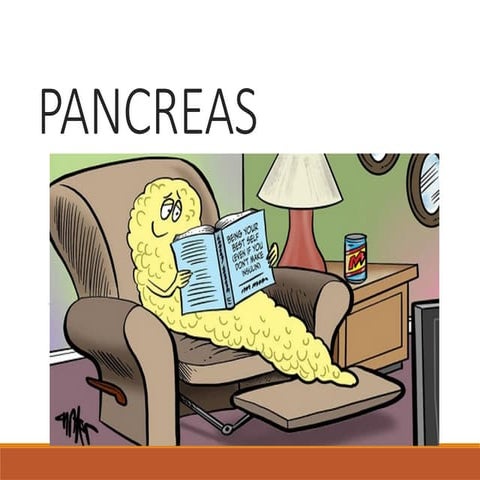 Pancreas Anatomy and embryology power point | PPTX
