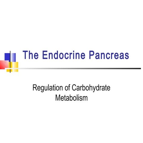 Pancreas 78 | PPT