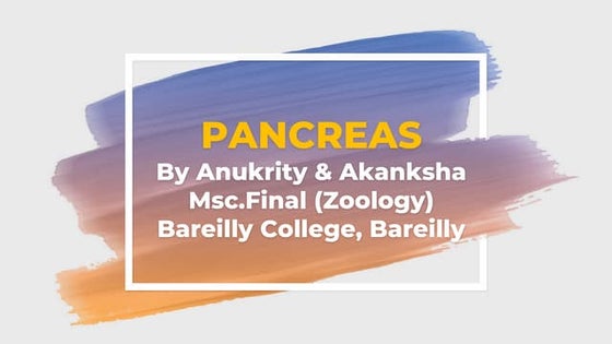 Pancreas anatomy and functions | PPT