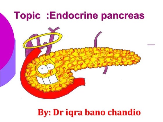 Pancreas - Secretion, Function and Regulation | PPTX | Endocrine and ...