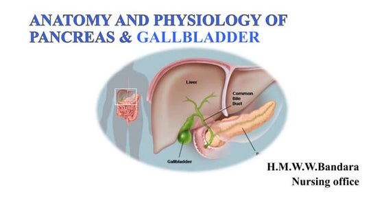anatomyofgallbladder.pdf