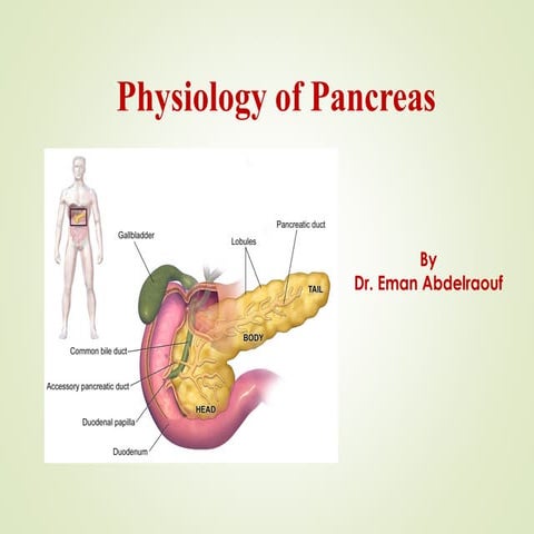 Stages & regulation of pancreatic secretion | PPT