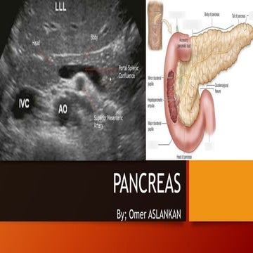 pancreas ppt.pptx