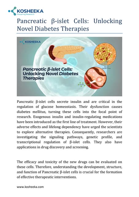 Endothelial vs. Epithelial Cells: A Comparative Insight into Cellular ...