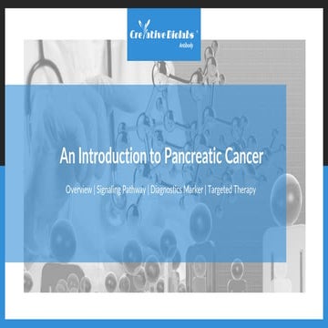 An Overview of Pancreatic Cancer - Creative Biolabs | PPT