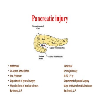 Pancreatic injury | PPTX