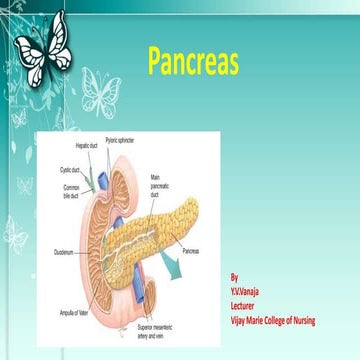 Pancreatic islets | PPTX