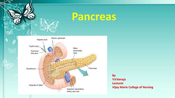 Islets of langerhans | PPTX | Endocrine and Metabolic Diseases ...