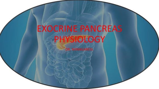 Pancreas anatomy and functions | PPT