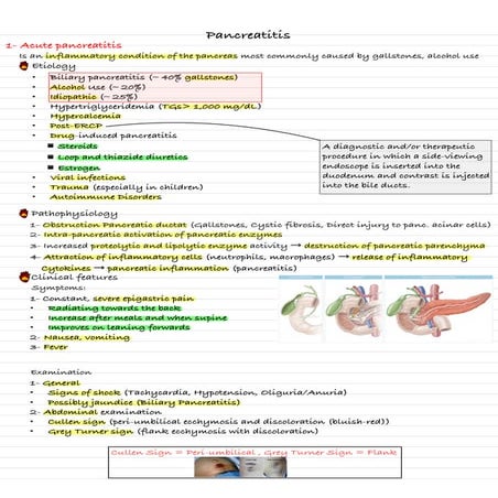 Pancreatitis.pdf