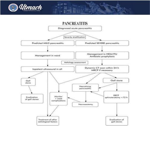 Pancreatitis algorithm