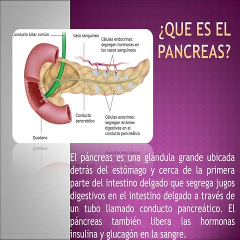 Pancreatits | PPT