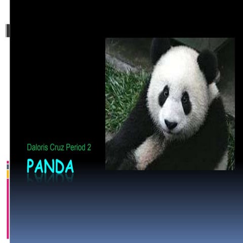 Panda | PPTX