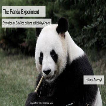 The Panda Experiment - evolution of DevOps culture at HolidayCheck | PDF
