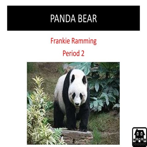 Panda bear | PPTX | Large Animals | Pets