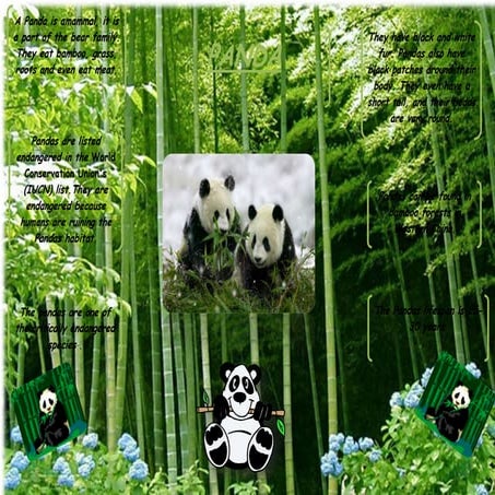 Panda Poster | DOCX