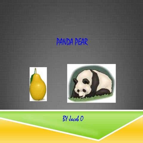 Panda pear | PPT