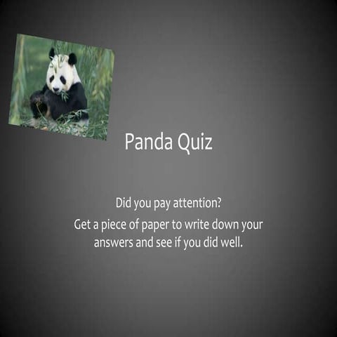 Panda quiz powerpoint | PPTX