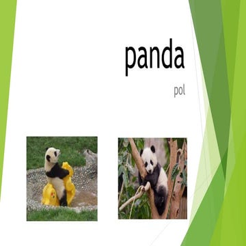 Pandas | PPT
