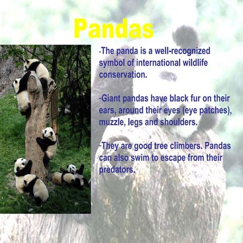 Pandas[1] | PPT