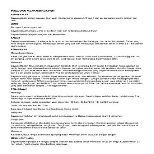 Panduan Menanam Bayam | PDF