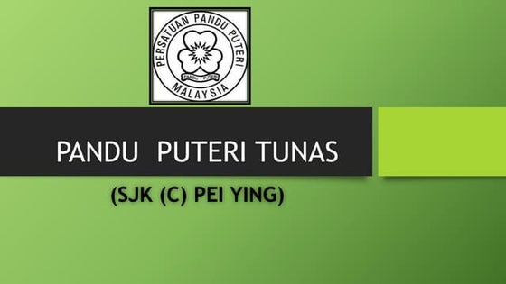Dasar Pertubuhan dan Undang-undang pandu puteri tunas | DOC