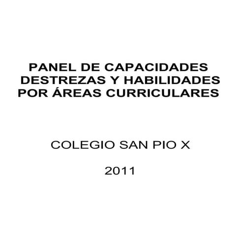 Panel habilidades y destrezas | PPT