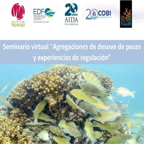 Seminario web "Agregaciones de desove de peces y experiencias de ...