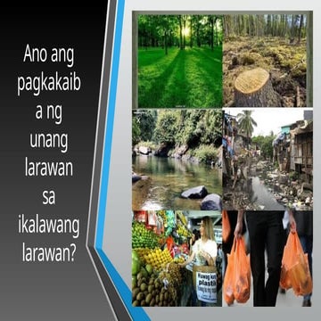 EsP Grade 10-Pagmamahal-sa-Kalikasan.pptx
