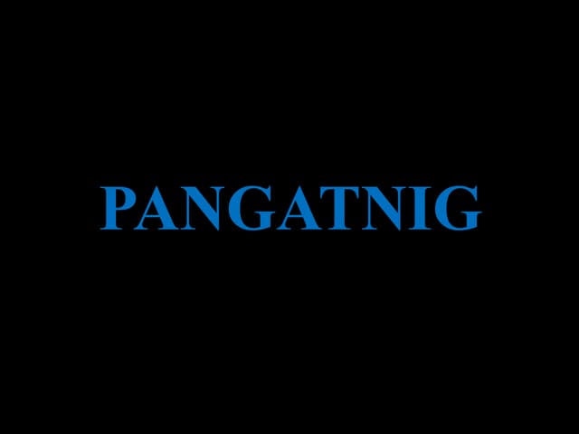 Pang abay na Panang-ayon, pananggi at pang-agam (ACTIVITY) | PPTX
