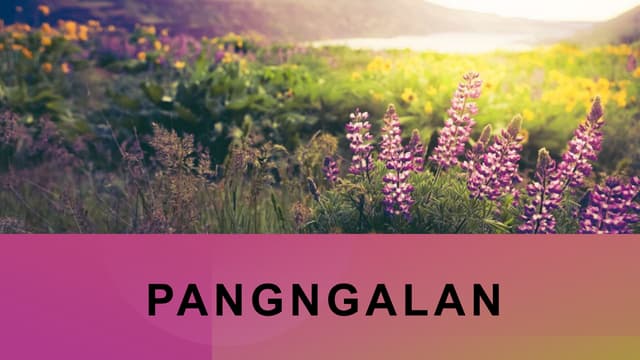 3 pangkat ng pagkain | PDF