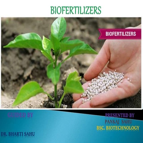 Biofertilizers | PPTX