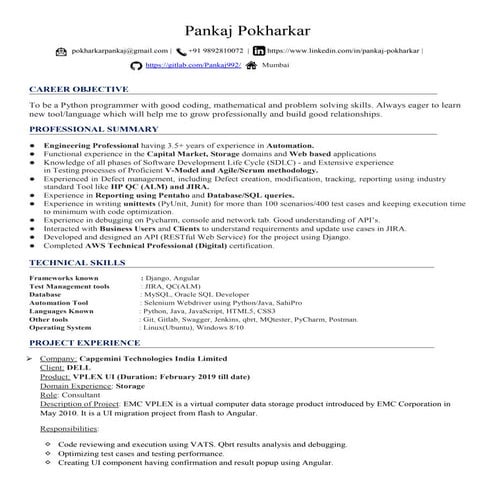 Pankaj Python Programmer Pdf