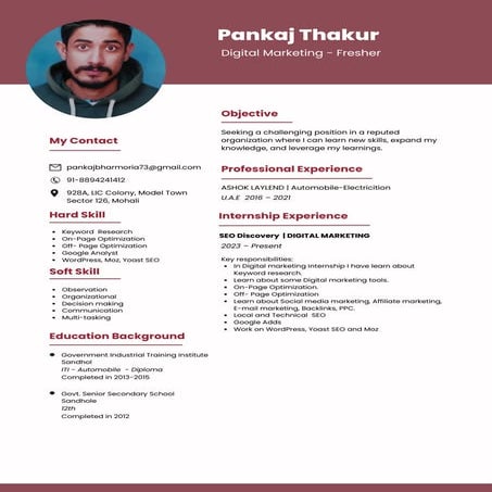 Pankaj Thakur (1).pdf