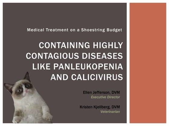 Devocalization | PDF