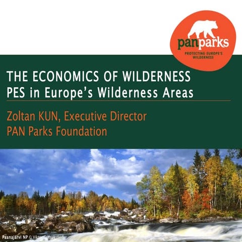 Roadless area initiative | PDF