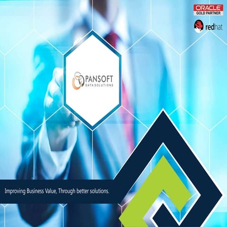 Pansoft FZ LLC | PDF | Cloud Computing | Internet