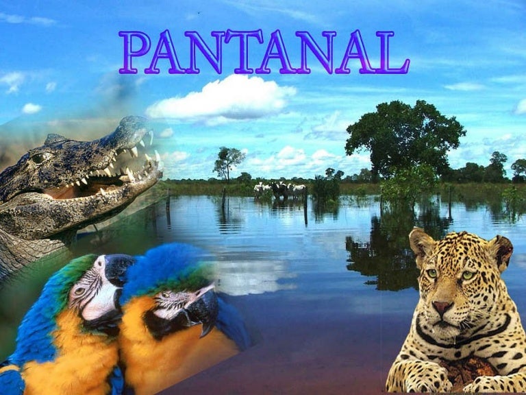 Pantanal