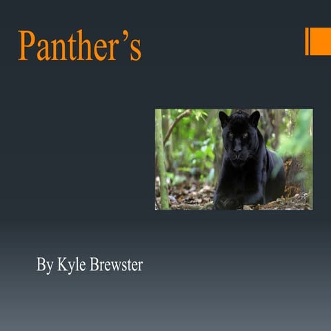 Panther | PPTX