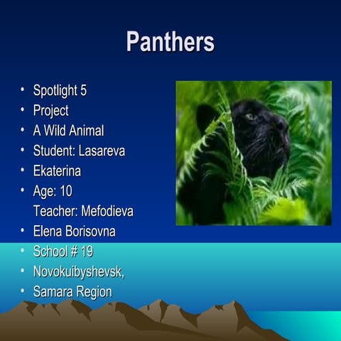Panthers | PPT